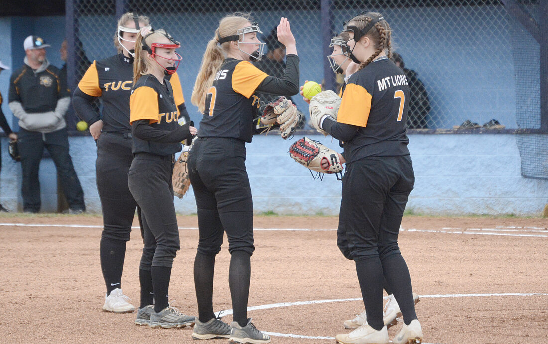 Pair of Lady Vikings make first team | News, Sports, Jobs - The ...